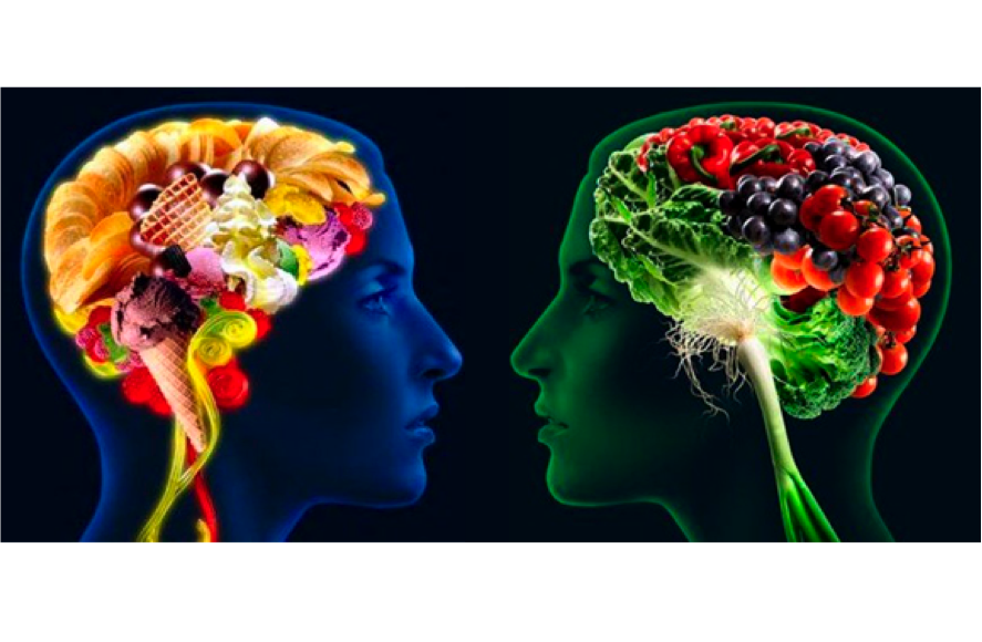 Alimentación Consciente: uno es lo que come – Ciudad Sustentable